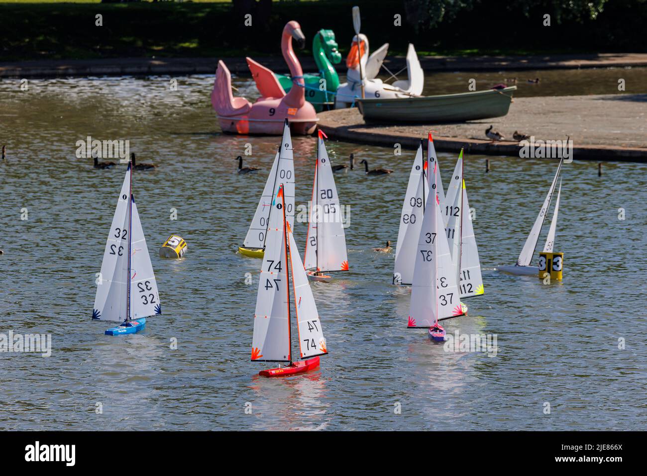 Sailing on Portishead lake Stock Photo - Alamy