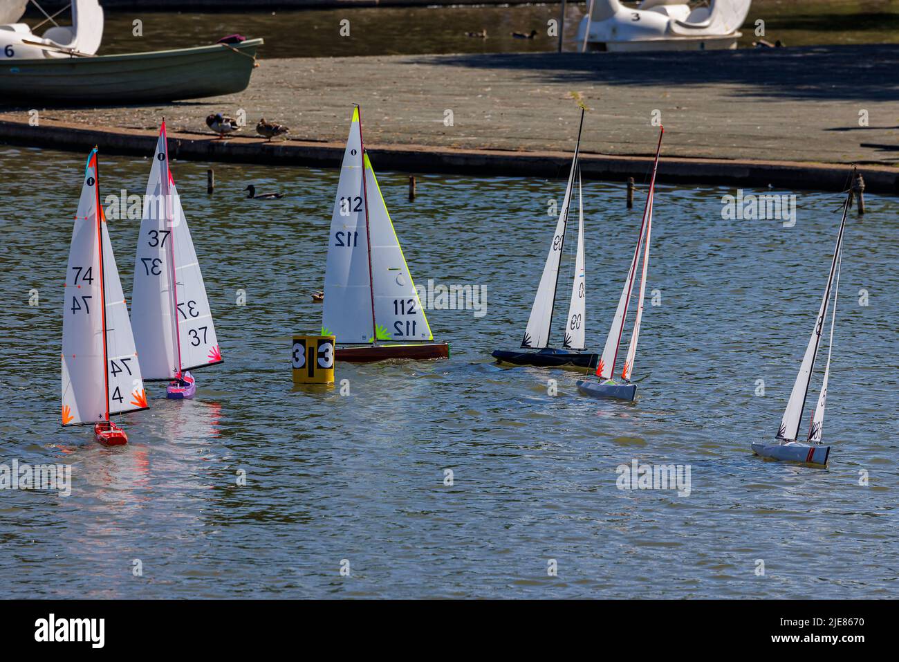 Sailing on Portishead lake Stock Photo - Alamy