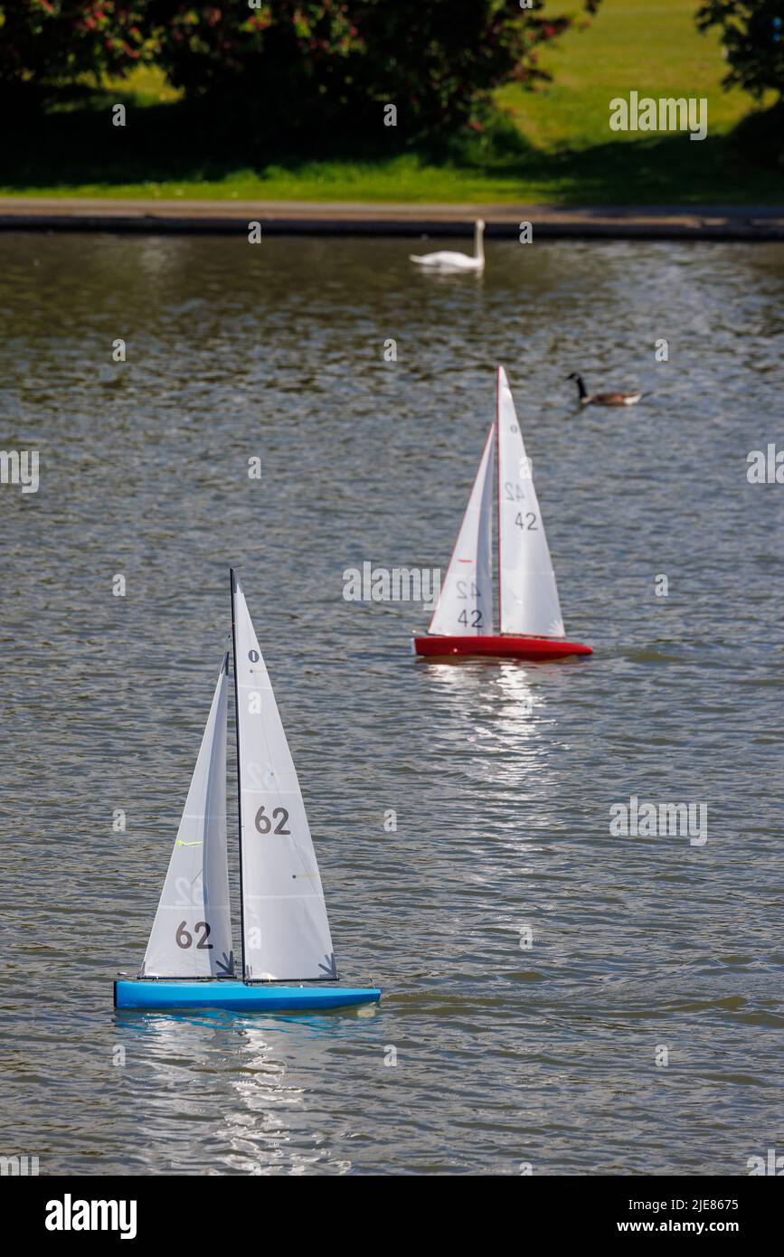 Sailing on Portishead lake Stock Photo - Alamy