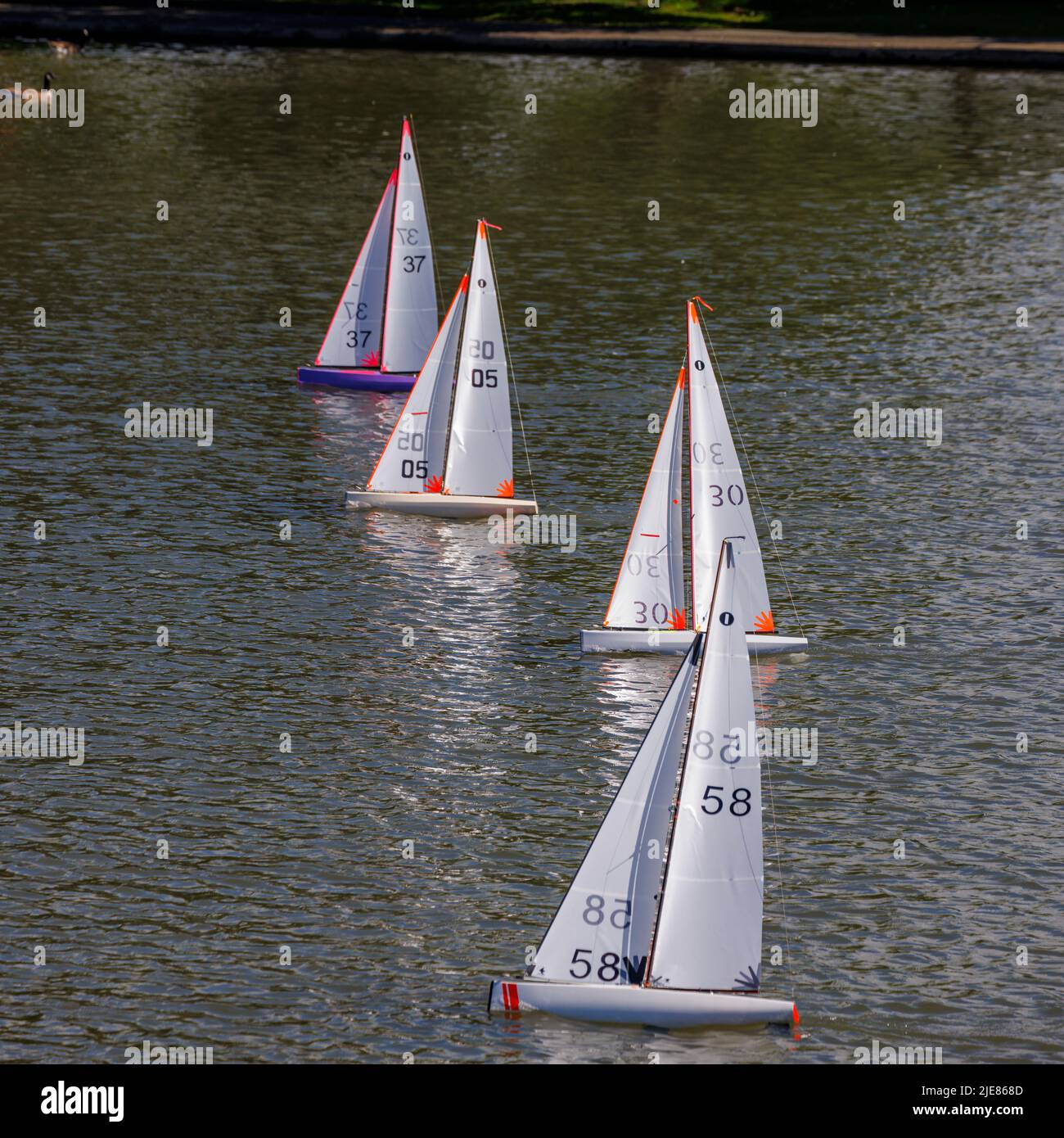 Group sailing england hi-res stock photography and images - Alamy