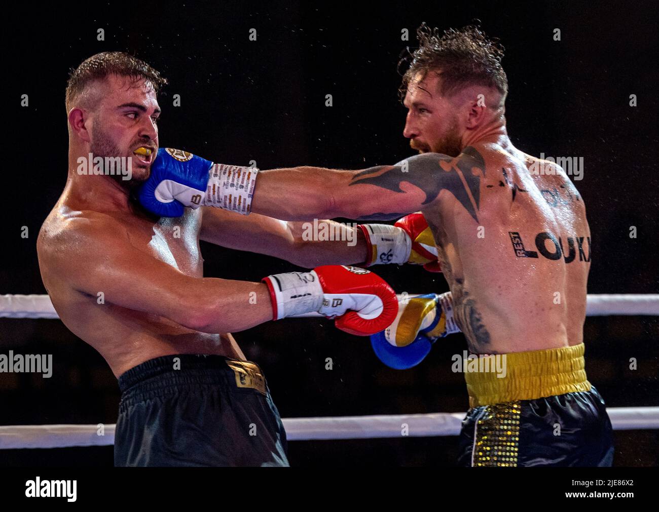 Professional boxers boxing full fights championship hi-res stock ...
