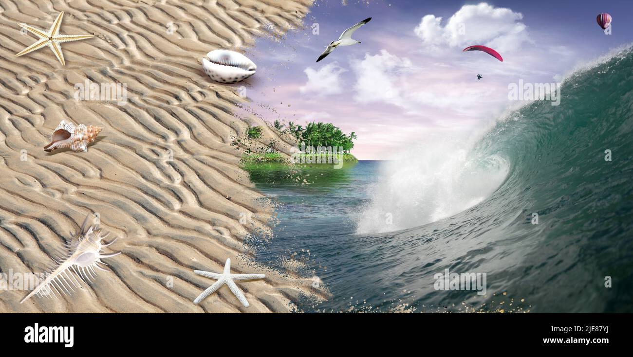 Sand beach and shells with ocean wave in the background and seagull ...