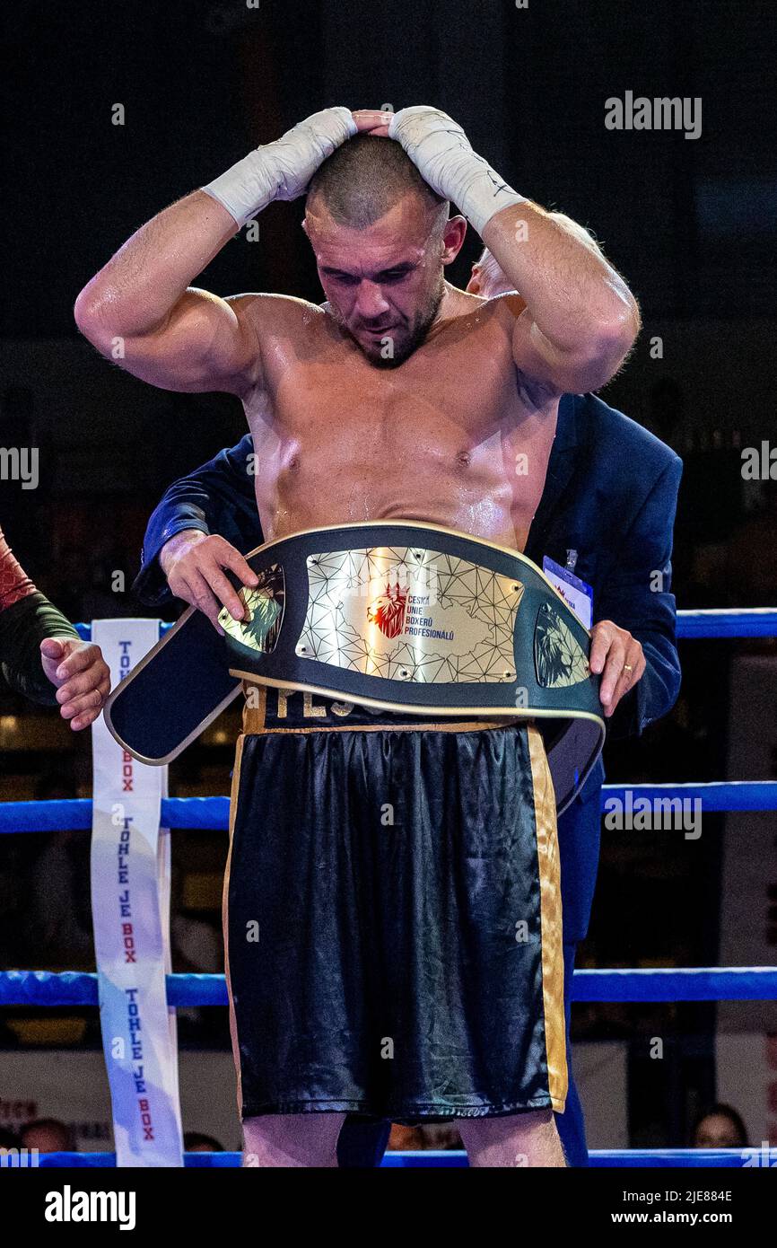 Usti Nad Labem, Czech Republic. 25th June, 2022. Czech professional ...