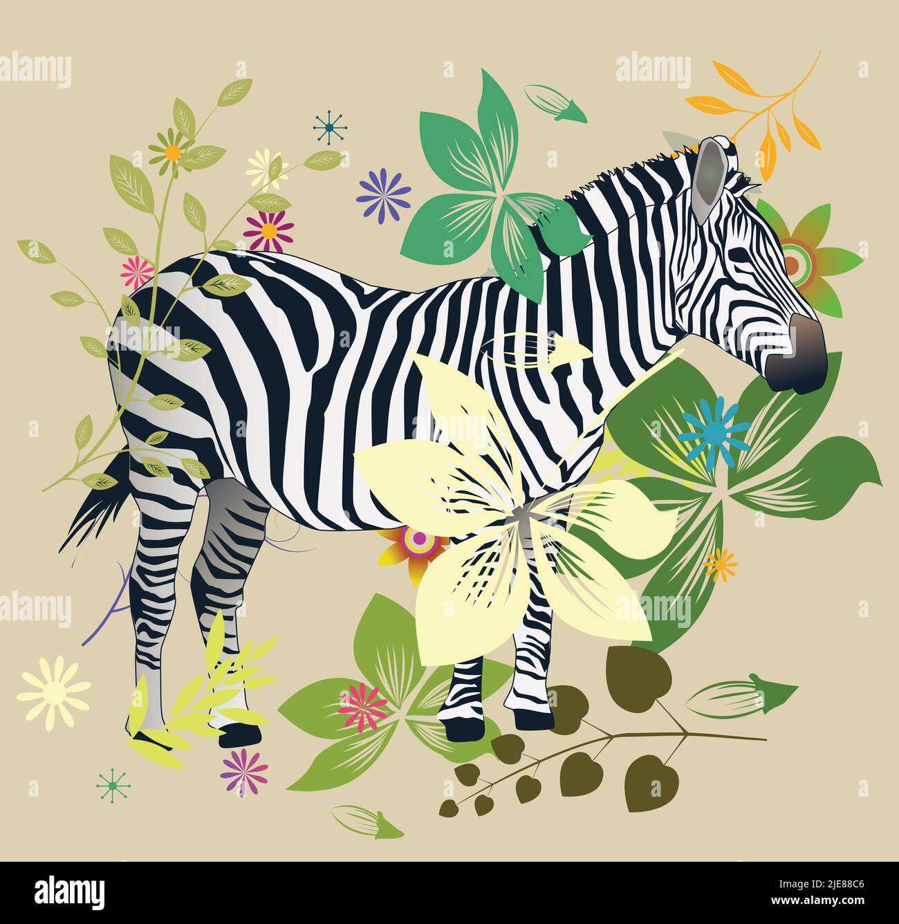 Zebra in the forest. Game drive illustration art Stock Photo - Alamy