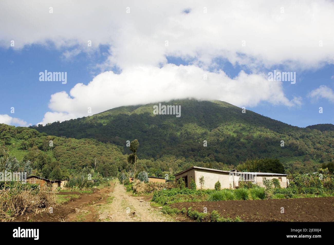 Bisoke volcano, Volcanoes National Park, Rwanda Stock Photo - Alamy