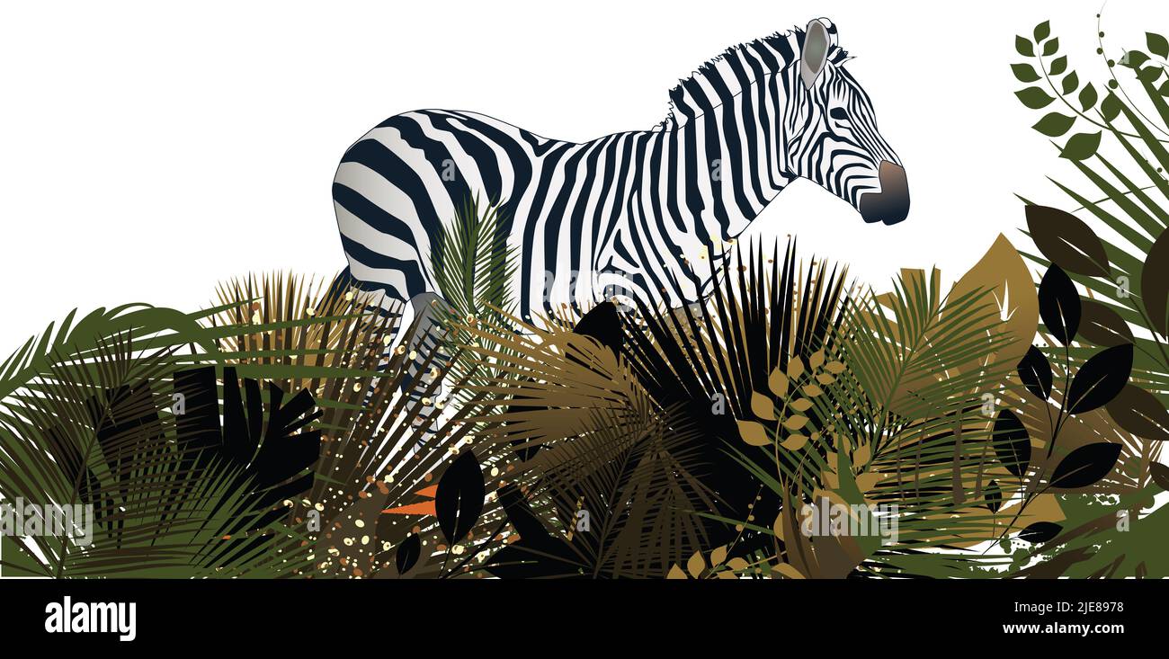 Zebra in the bush. Game drive illustration art Stock Photo - Alamy