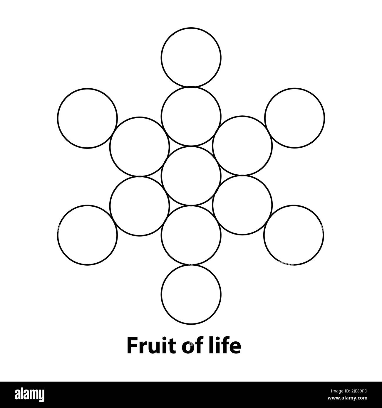 Sacred Geometry Fruit Of Life