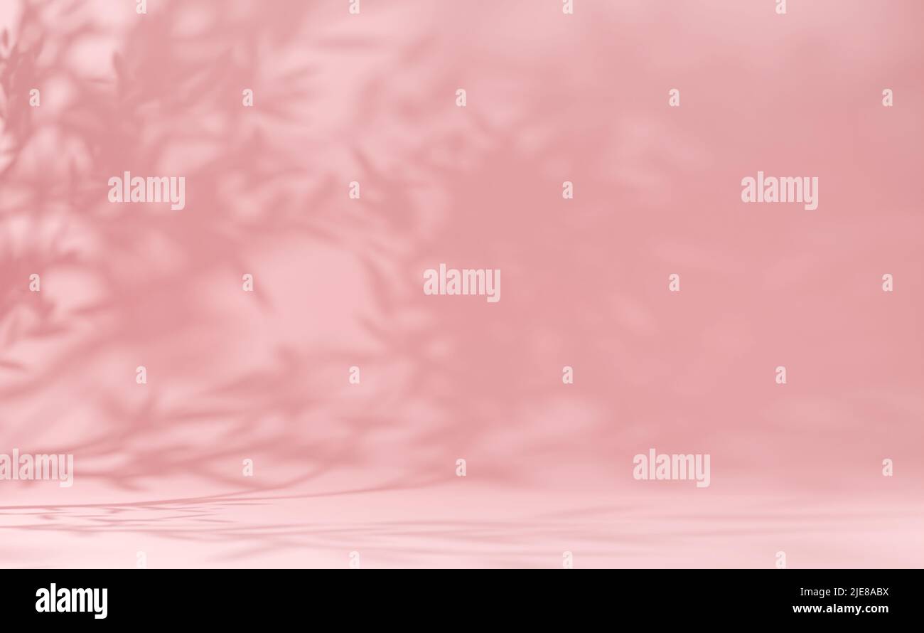 Premium abstract light pink wall summer background with leaves shadow ...