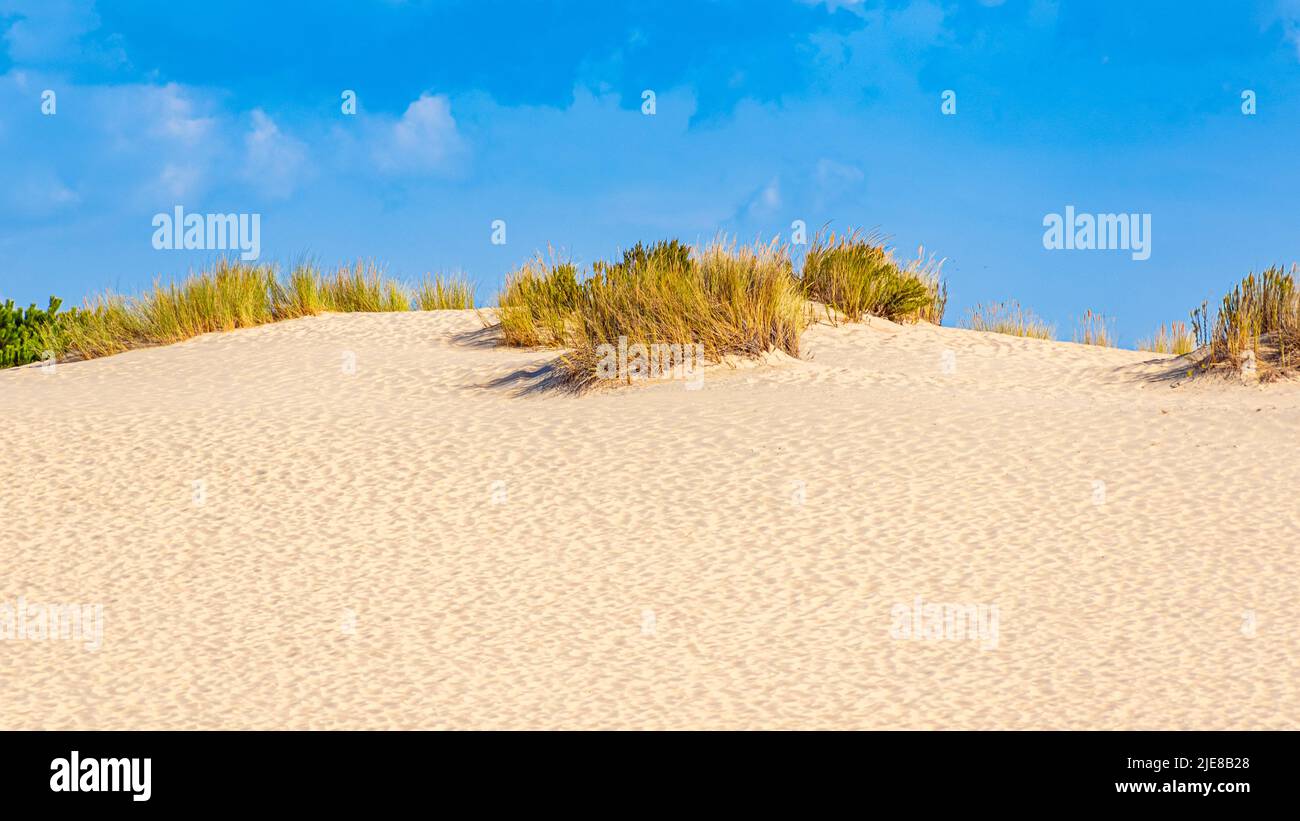 Donana National Park in Spain A UNESCO World Heritage Site Stock Photo ...