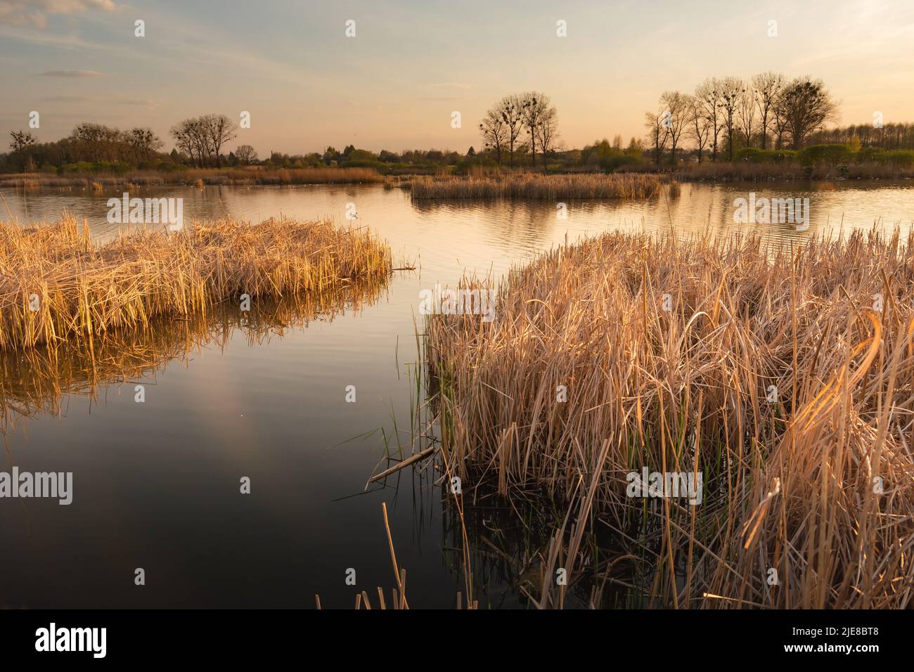 Grass growing in the reservoir hi-res stock photography and images - Alamy
