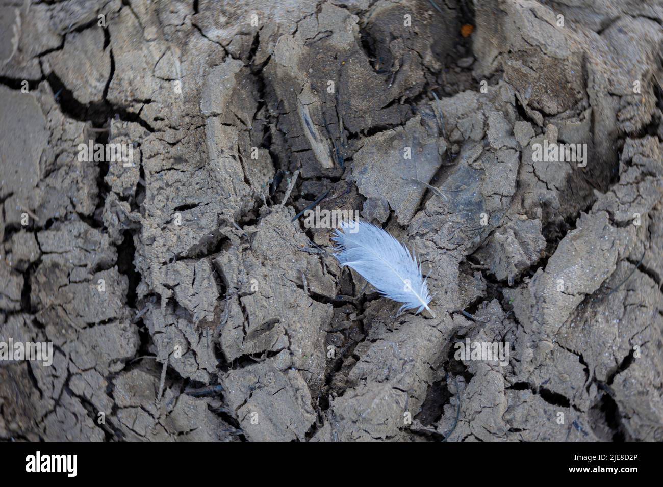When the waters recede, dried mud revealed when the reservoir levels ...