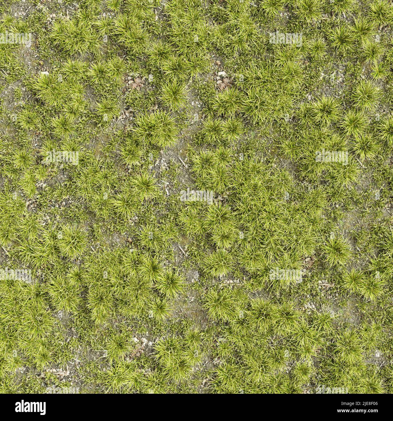3d illustration of grass background, texture nature top view Stock ...