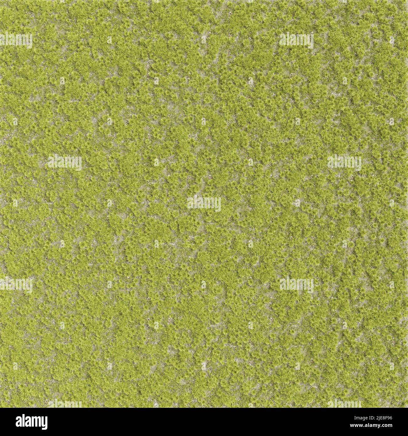 3d illustration of grass background, texture nature top view Stock ...