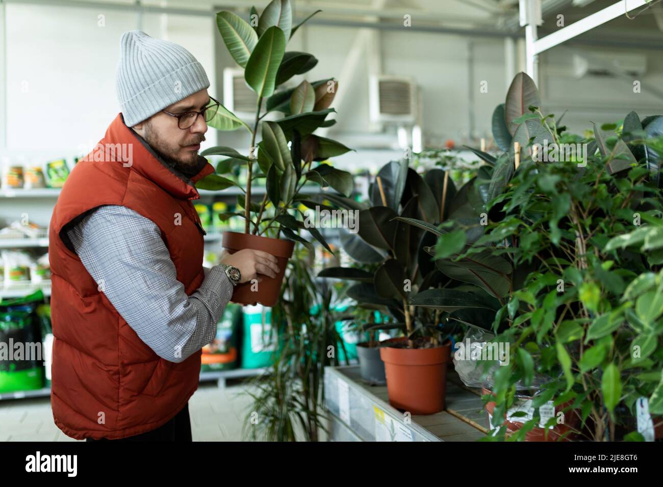 a customer in a store of live potted plants chooses plants for his ...
