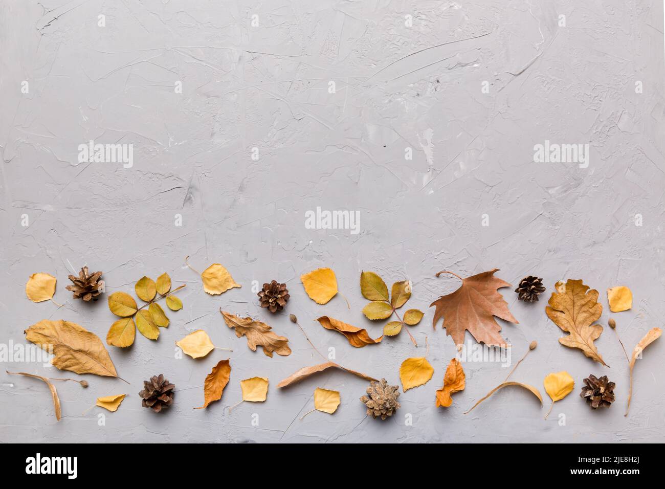 Autumn composition. Pattern made of dried leaves and other design ...