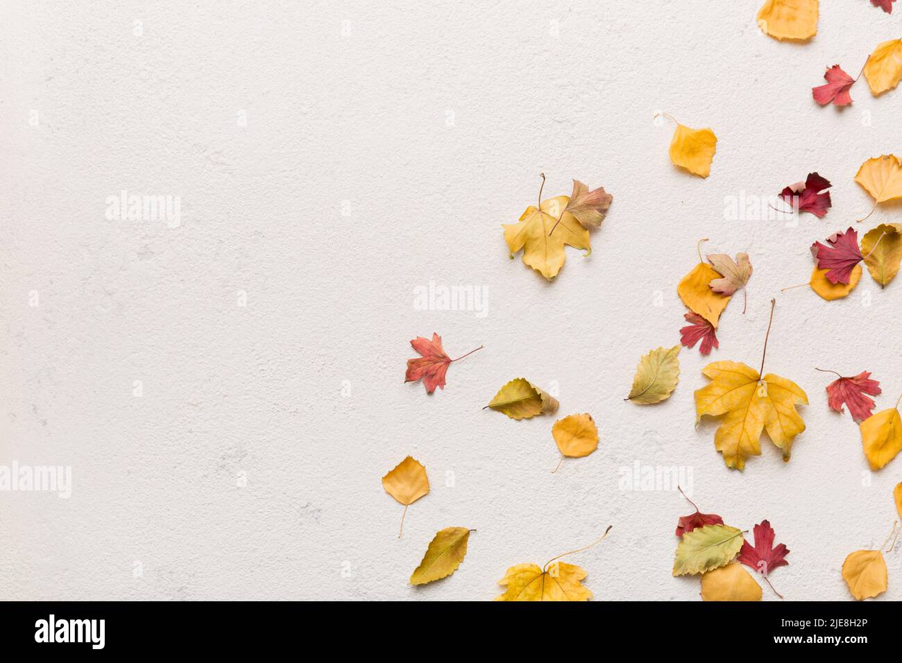 Autumn composition. Pattern made of dried leaves and other design ...