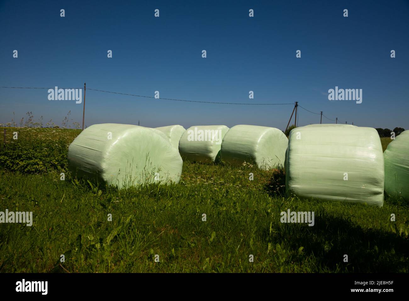 Wrapped stacked silage bales row round white plastic film hay rolls ...