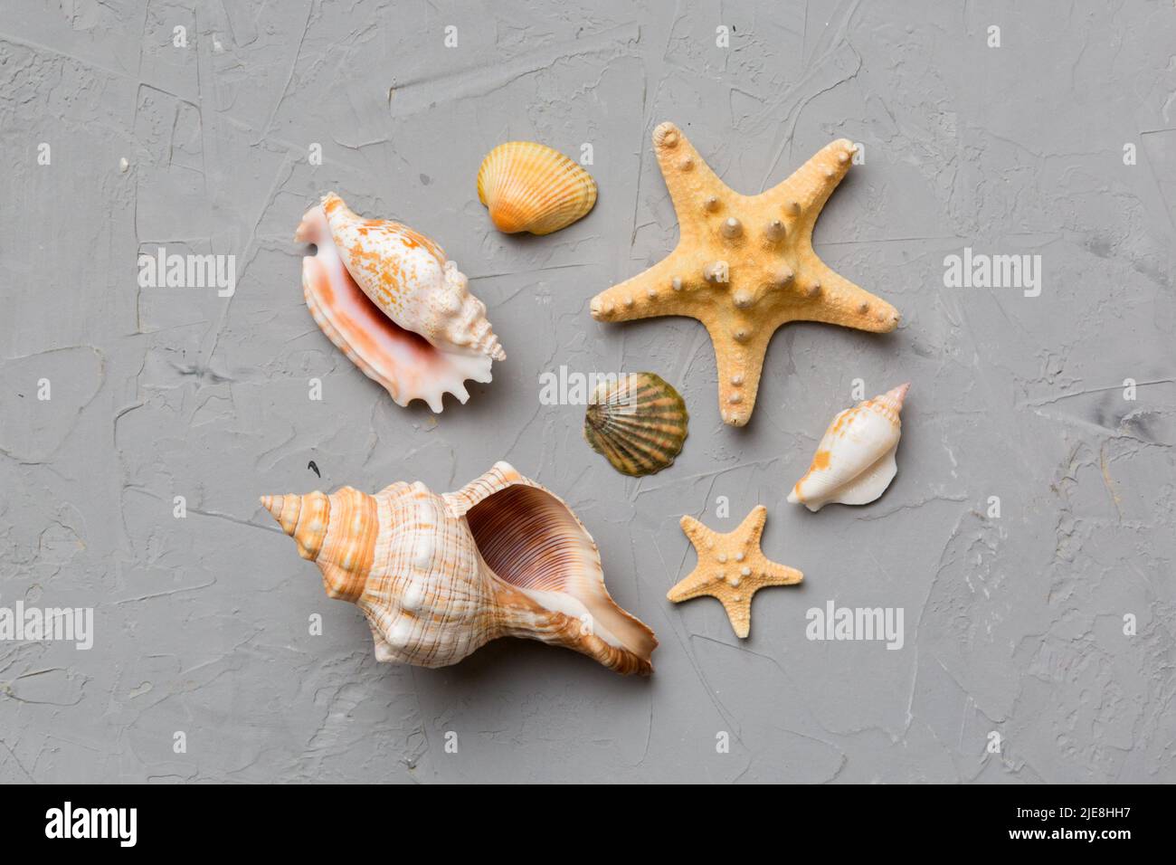 Summer time concept Flat lay composition with beautiful starfish and ...