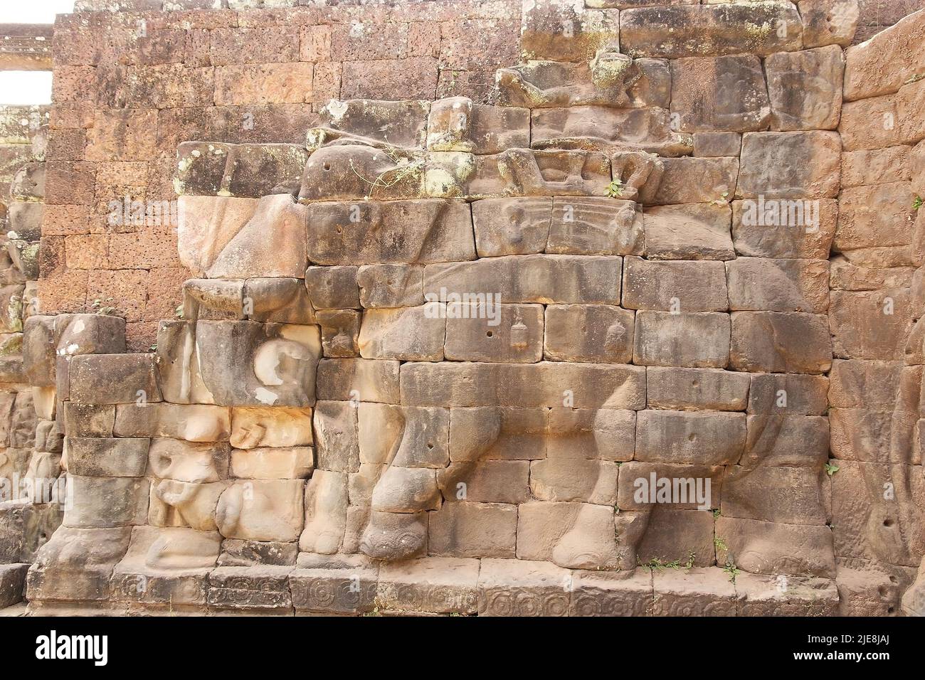 High relief of elephant mounted with driver at the Terrace of the ...
