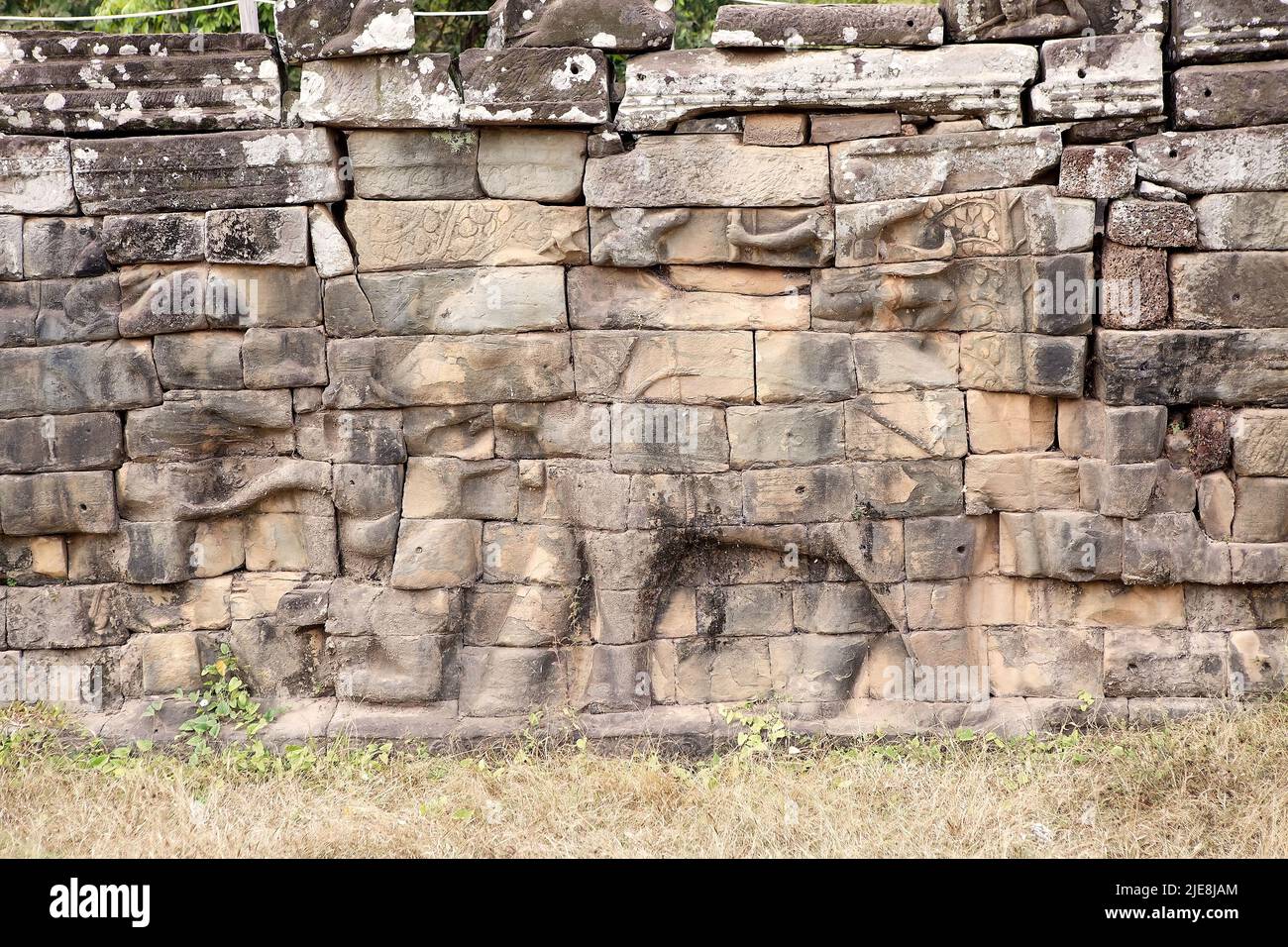 High relief of elephant mounted with driver at the Terrace of the ...