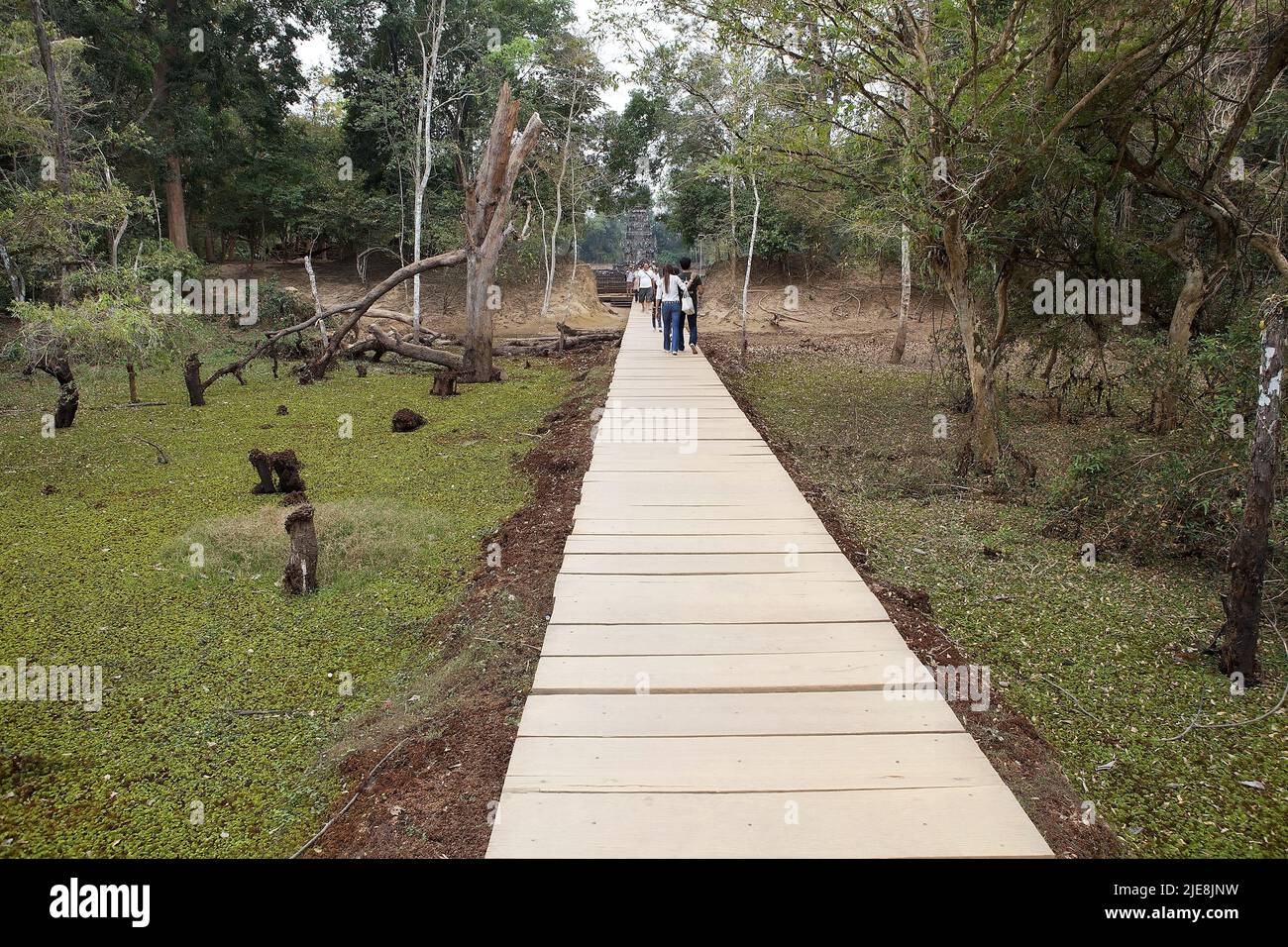Tourists are walking along the causeway among the swamp to Neak Pean ...