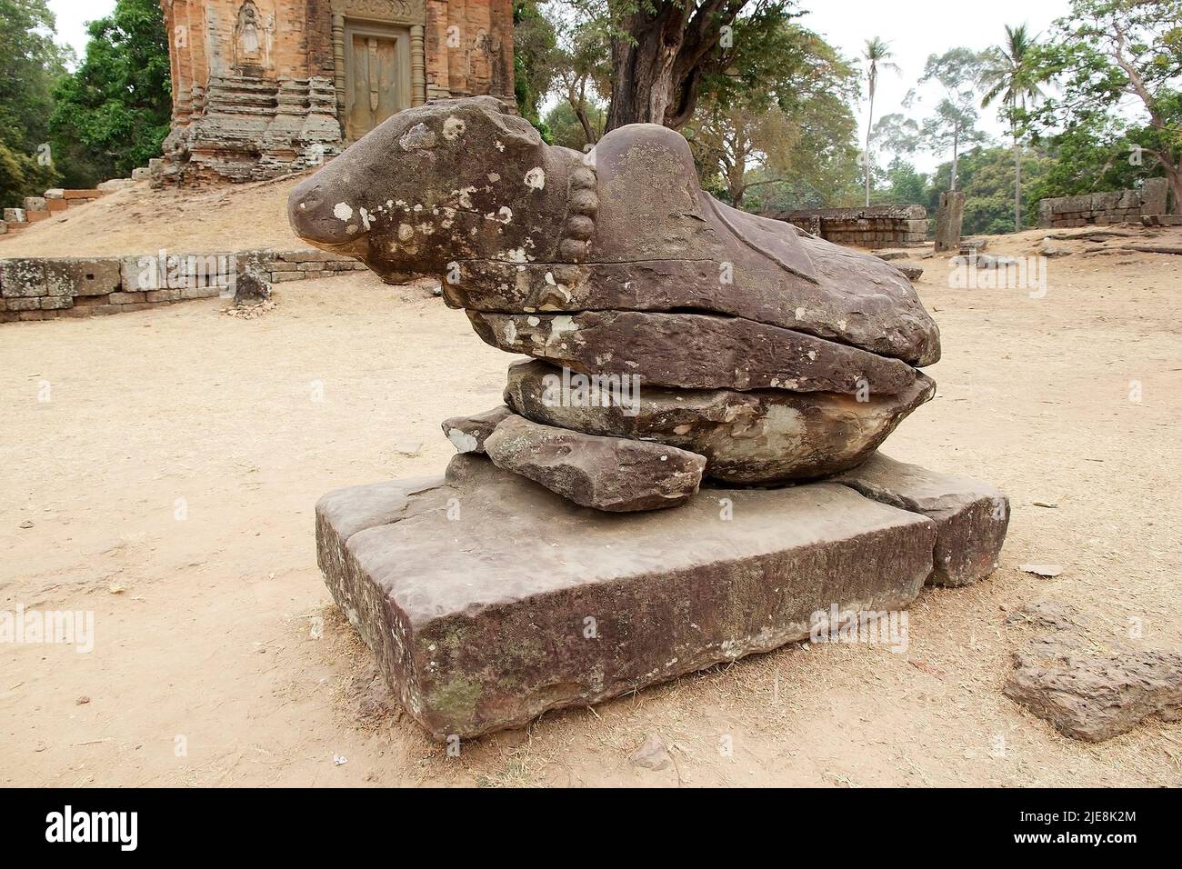 Nandi, the Shiva bull, in the enclosure of the Bakong temple ruins ...