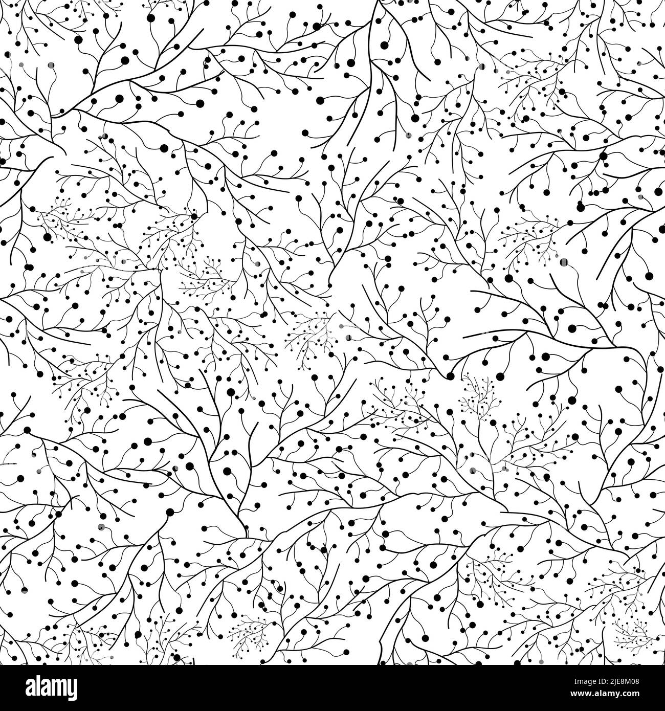 Black branches silhouette on white background. Autumn line art trees. Vector seamless abstract ...