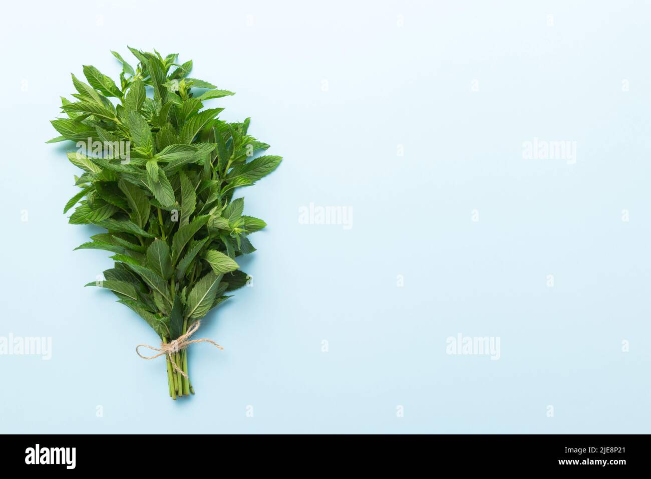 Fresh mint bunch on colored table. Top view with copy space Stock Photo ...