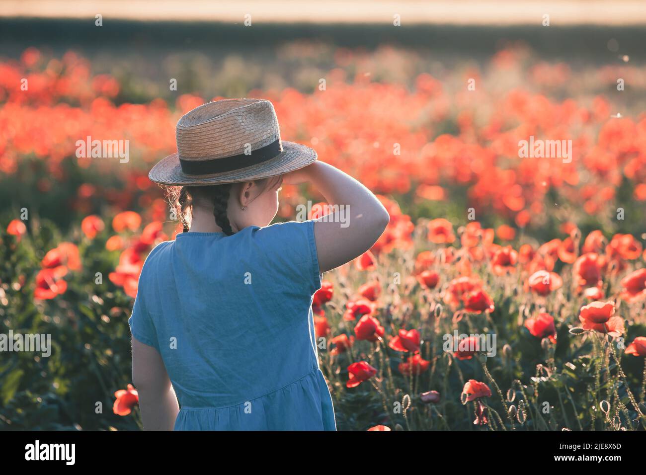 Cute little girl having fun in a poppy field in magic sunset Stock Photo - Alamy