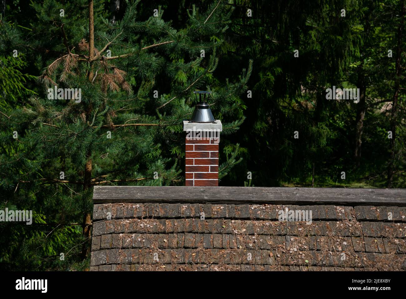 Forest tree house jungle hi-res stock photography and images - Alamy