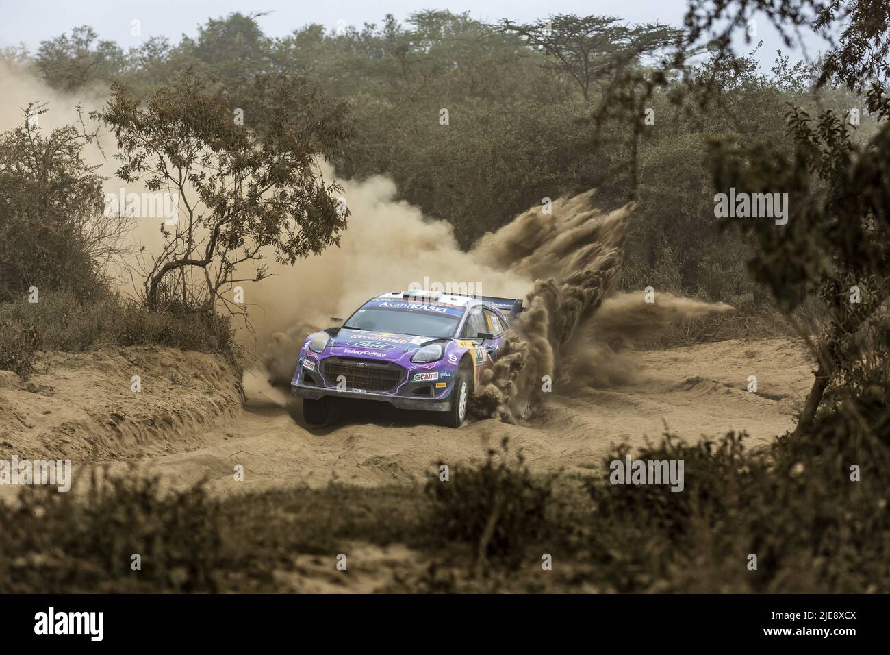 42 BREEN Craig (irl), NAGLE Paul (irl), M-Sport Ford World Rally Team ...