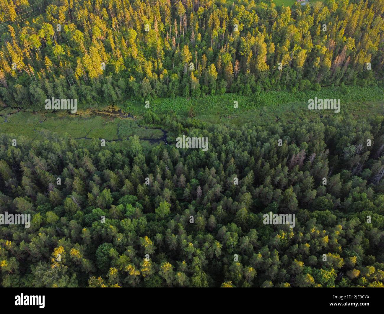 drone image. aerial view of rural area with fields and forests with snake river in woods Stock ...