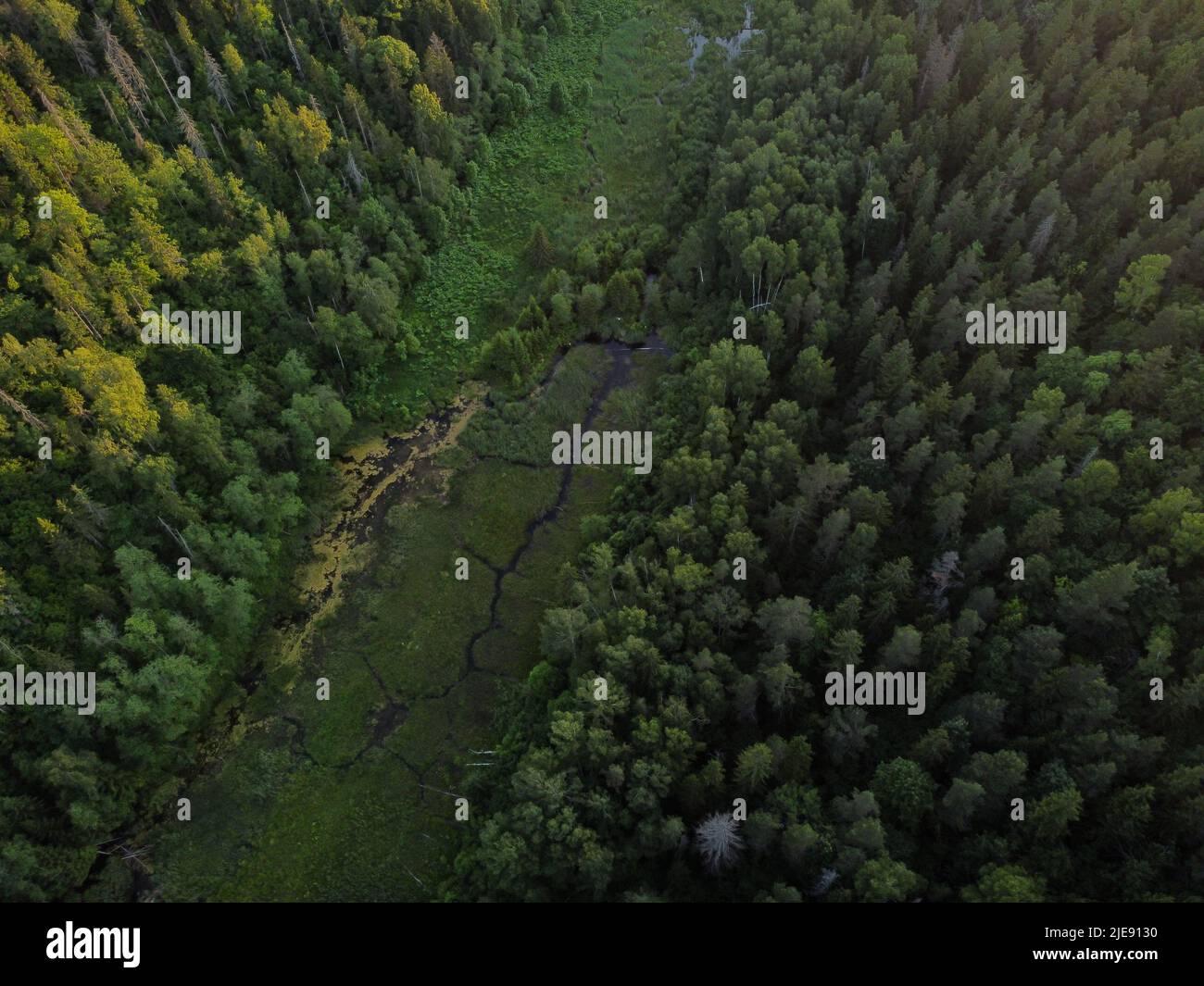 drone image. aerial view of rural area with fields and forests with snake river in woods Stock ...