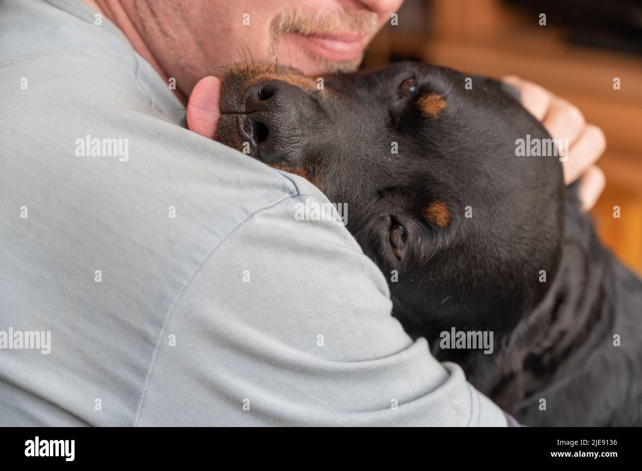Adult Male is cuddling a large black dog. An adult female Rottweiler ...