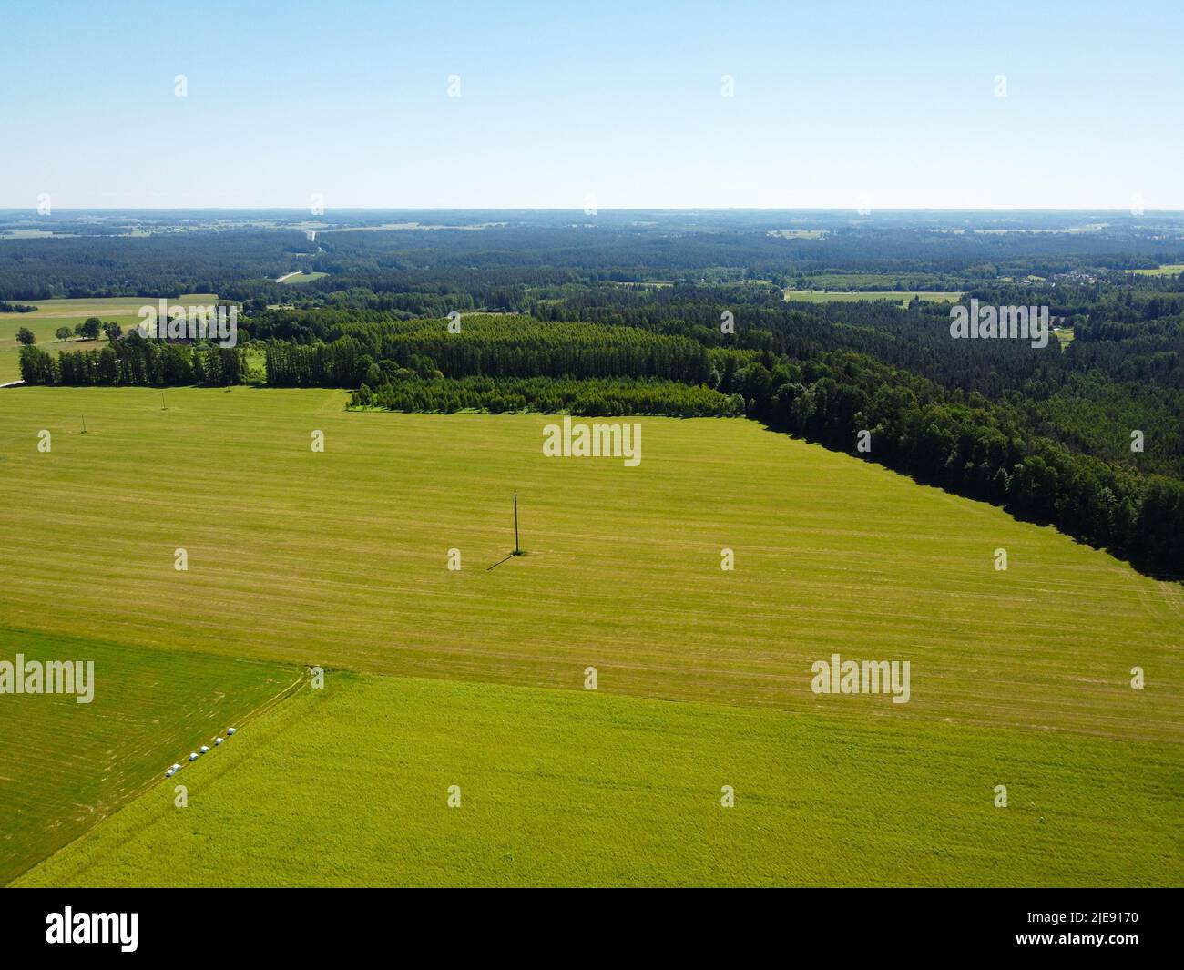 Top down view of a rural forest area. Cereal field next to a green ...