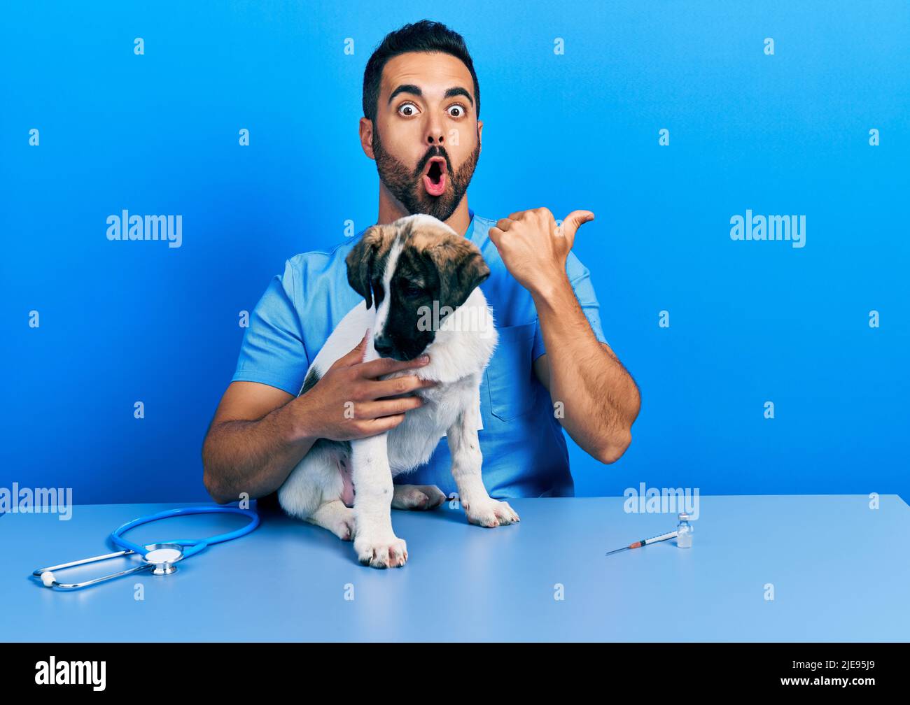 Handsome hispanic veterinary man with beard checking dog health ...