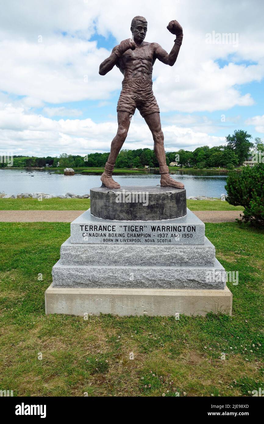statue of Tiger Warrington Stock Photo - Alamy