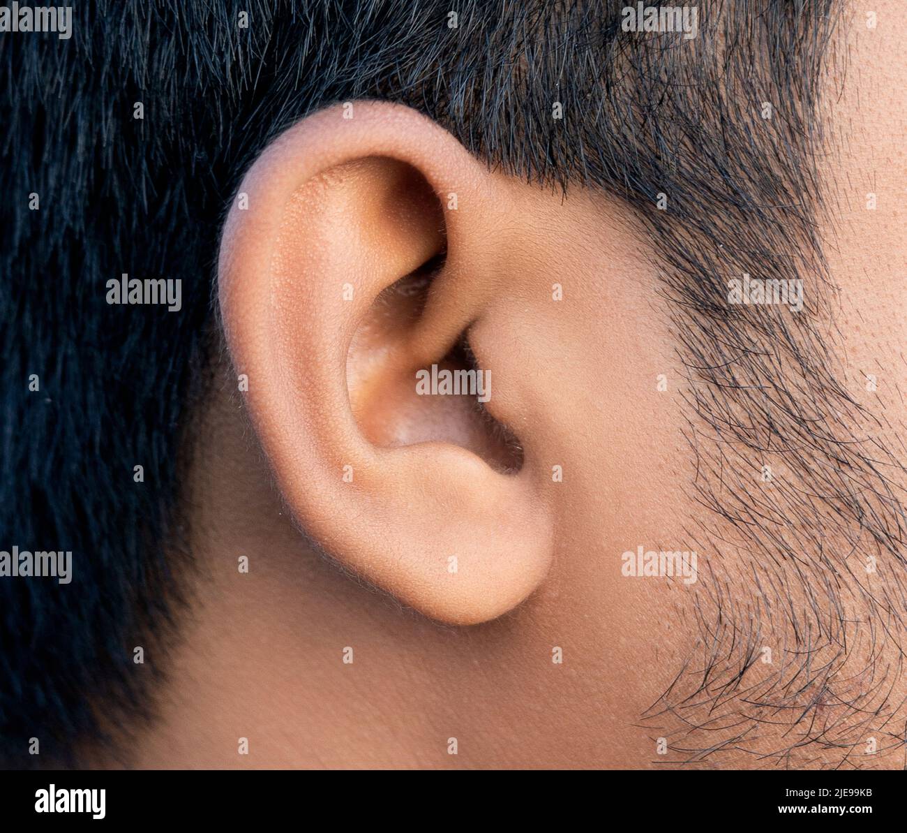 human face ear detail close-up macro shot Stock Photo - Alamy