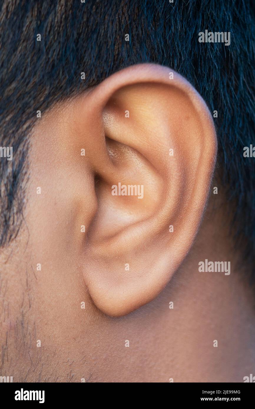 human face ear detail close-up macro shot Stock Photo - Alamy