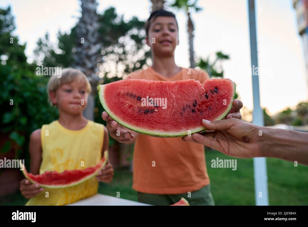 Sweet family, mother and her kids eating watermelon outdoor and having ...