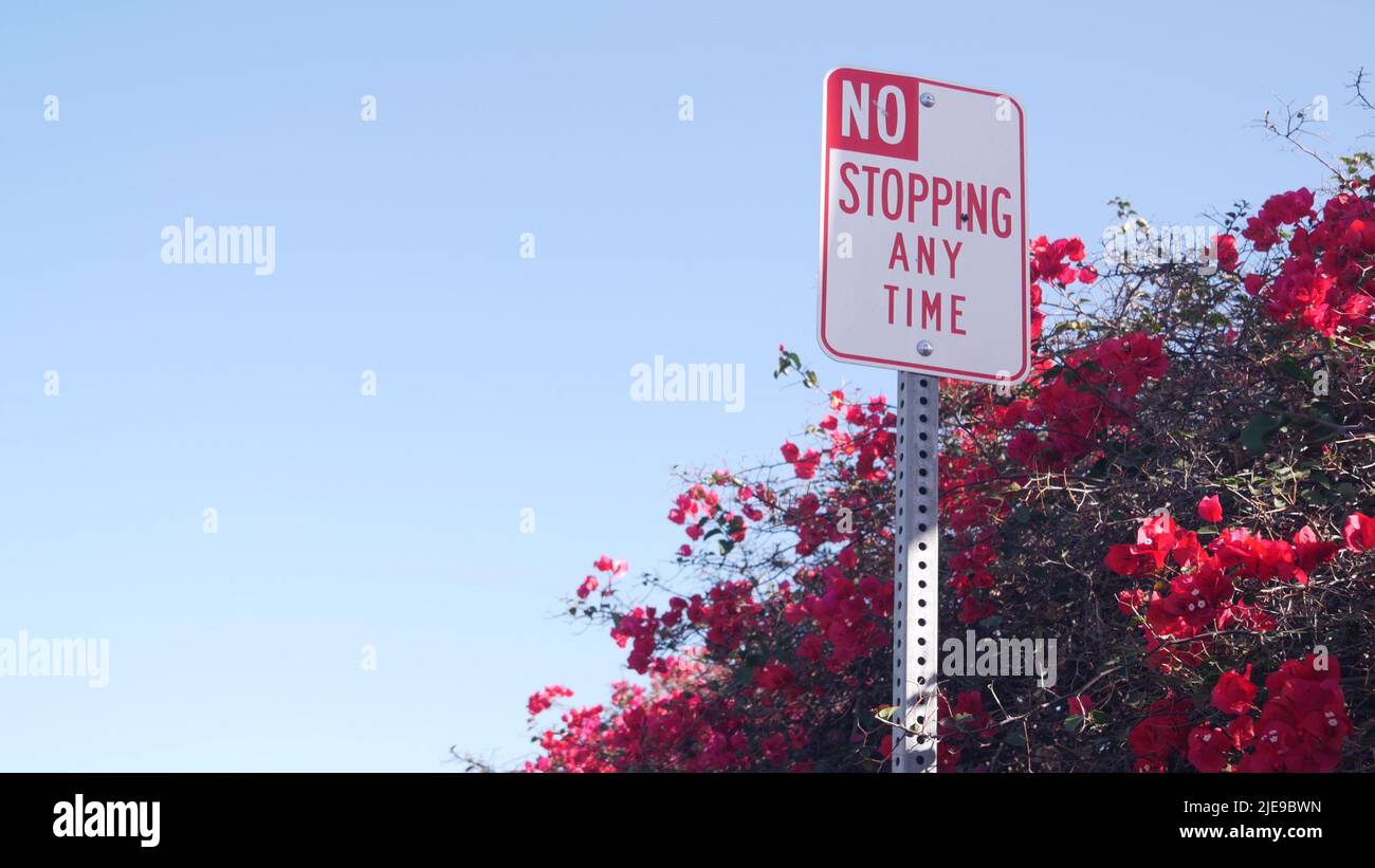 No stopping any time road sign on roadside, California city street, USA ...
