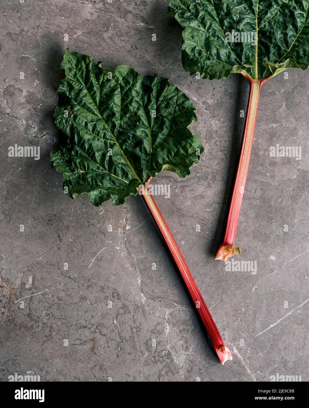 Rhubarb variety hi-res stock photography and images - Alamy