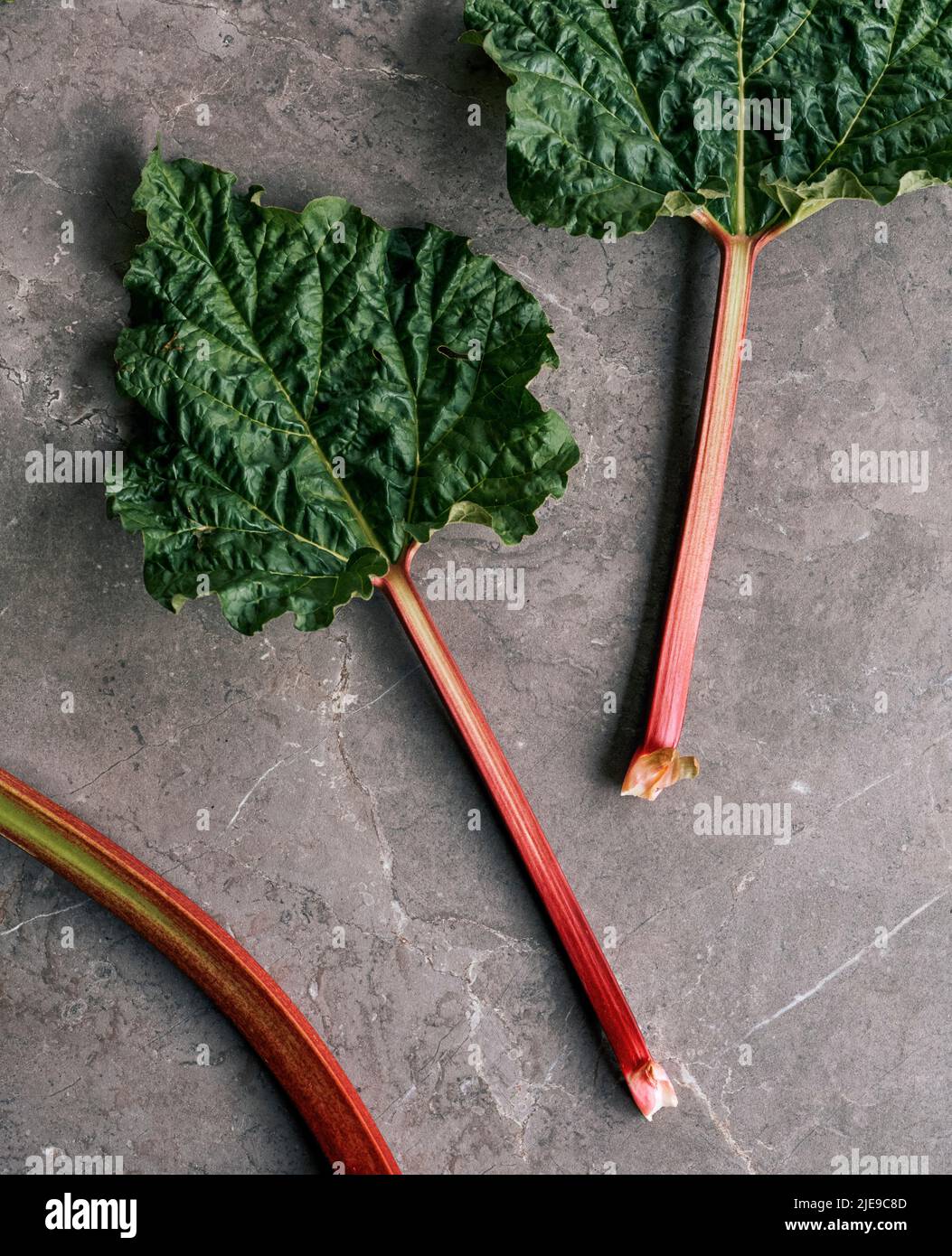 Early rhubarb variety hi-res stock photography and images - Alamy