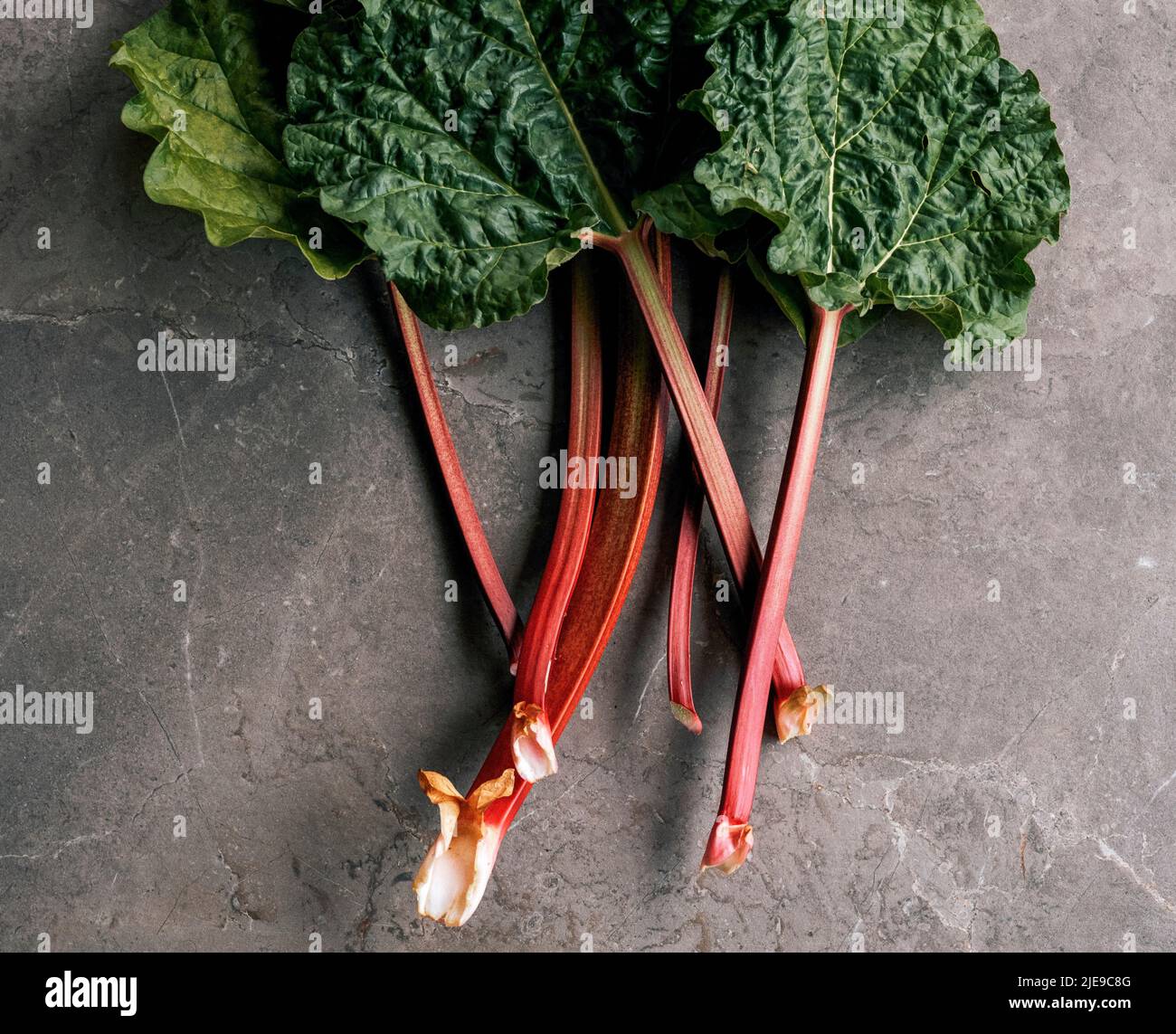 Early rhubarb variety hi-res stock photography and images - Alamy