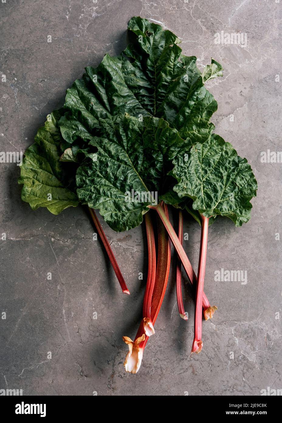 Rhubarb variety hi-res stock photography and images - Alamy