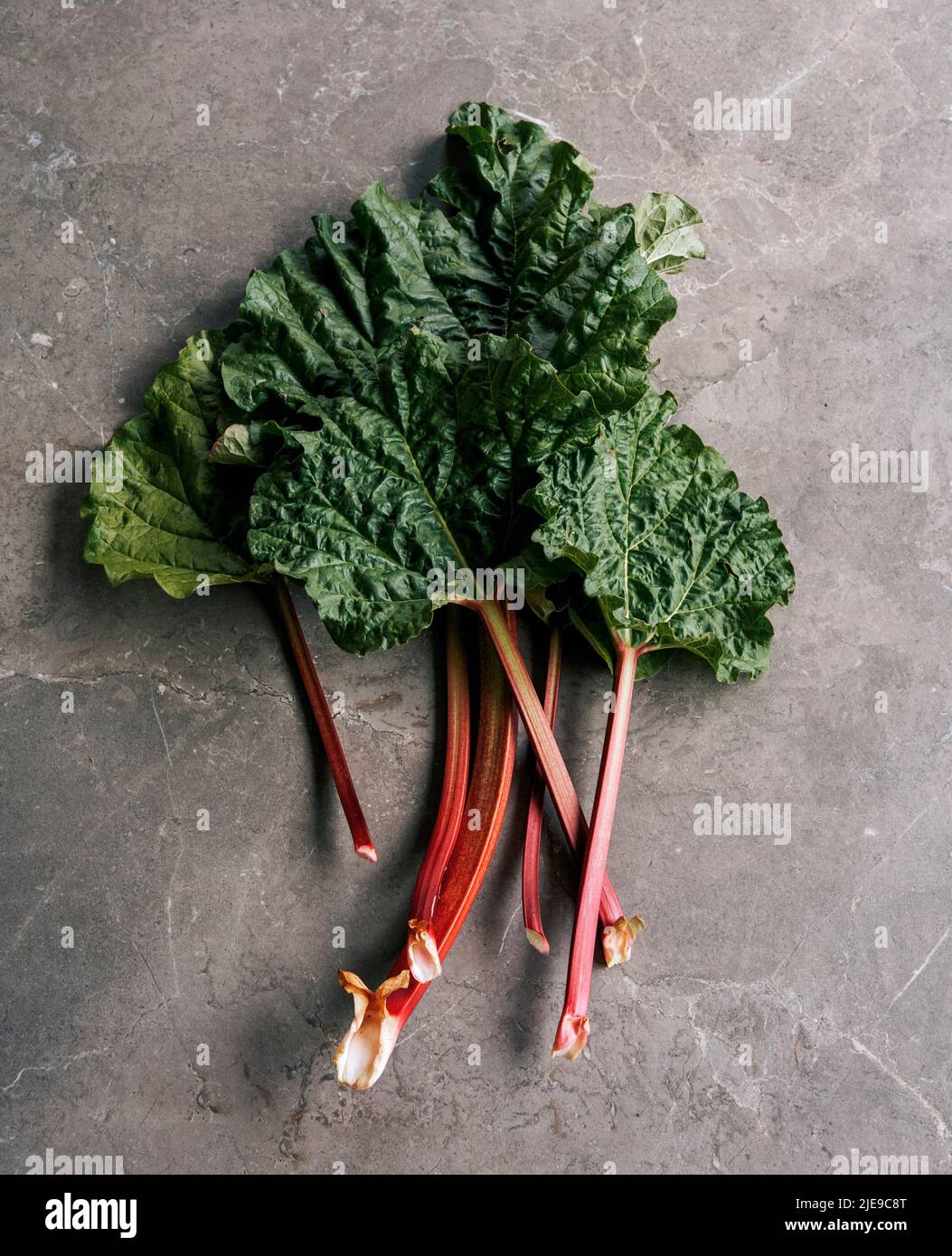 Rhubarb variety hi-res stock photography and images - Alamy