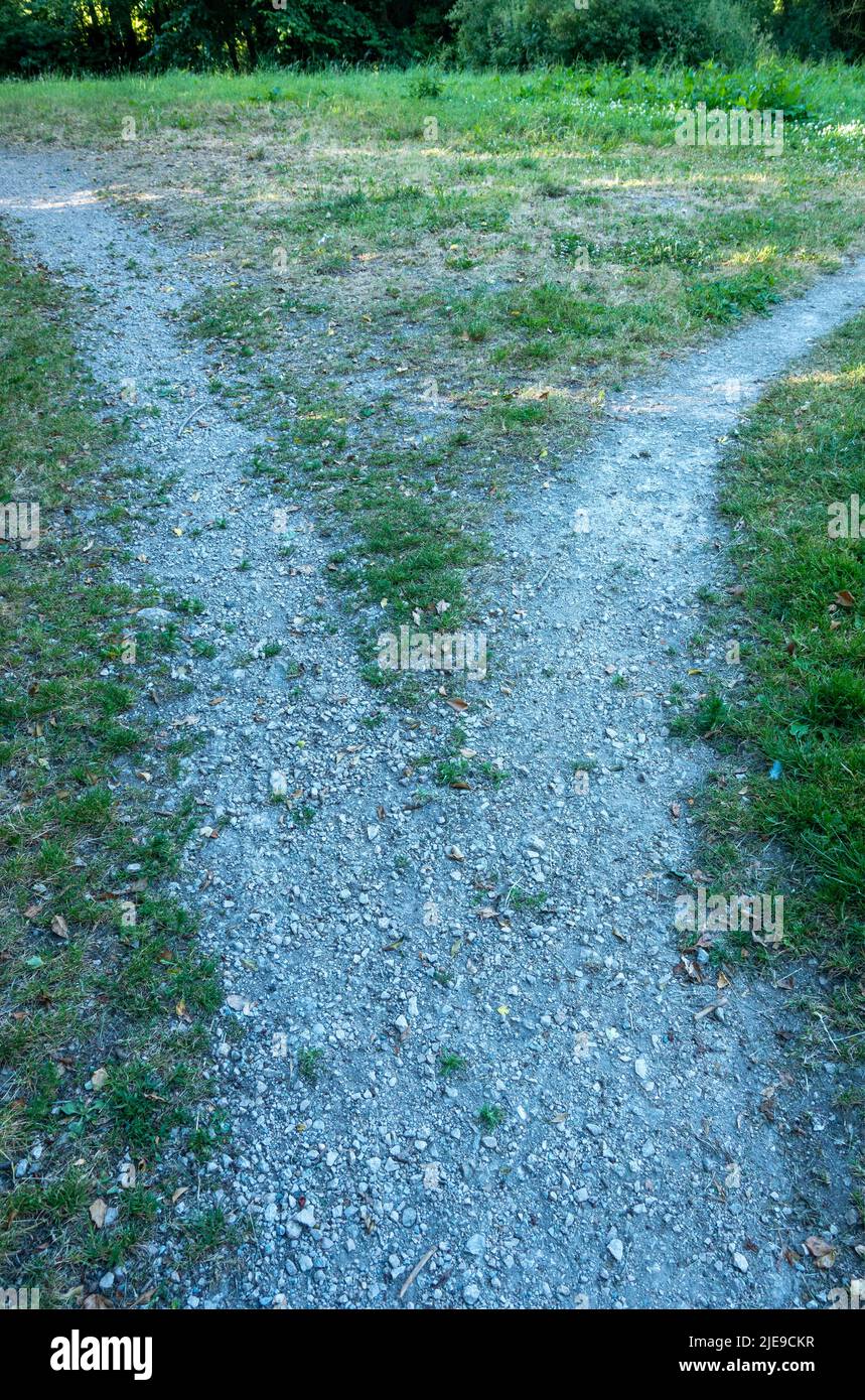 June pathway divides hi-res stock photography and images - Alamy