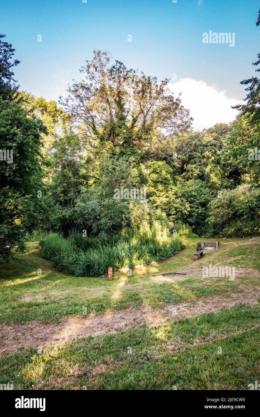 Pathway through the woods at Anston Stones, Anston, Sheffield Stock ...