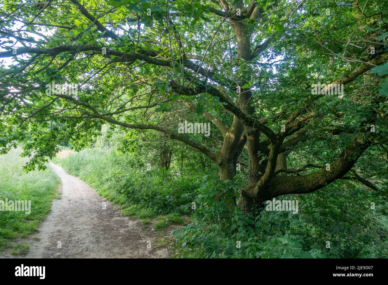 Anston stones hi-res stock photography and images - Alamy