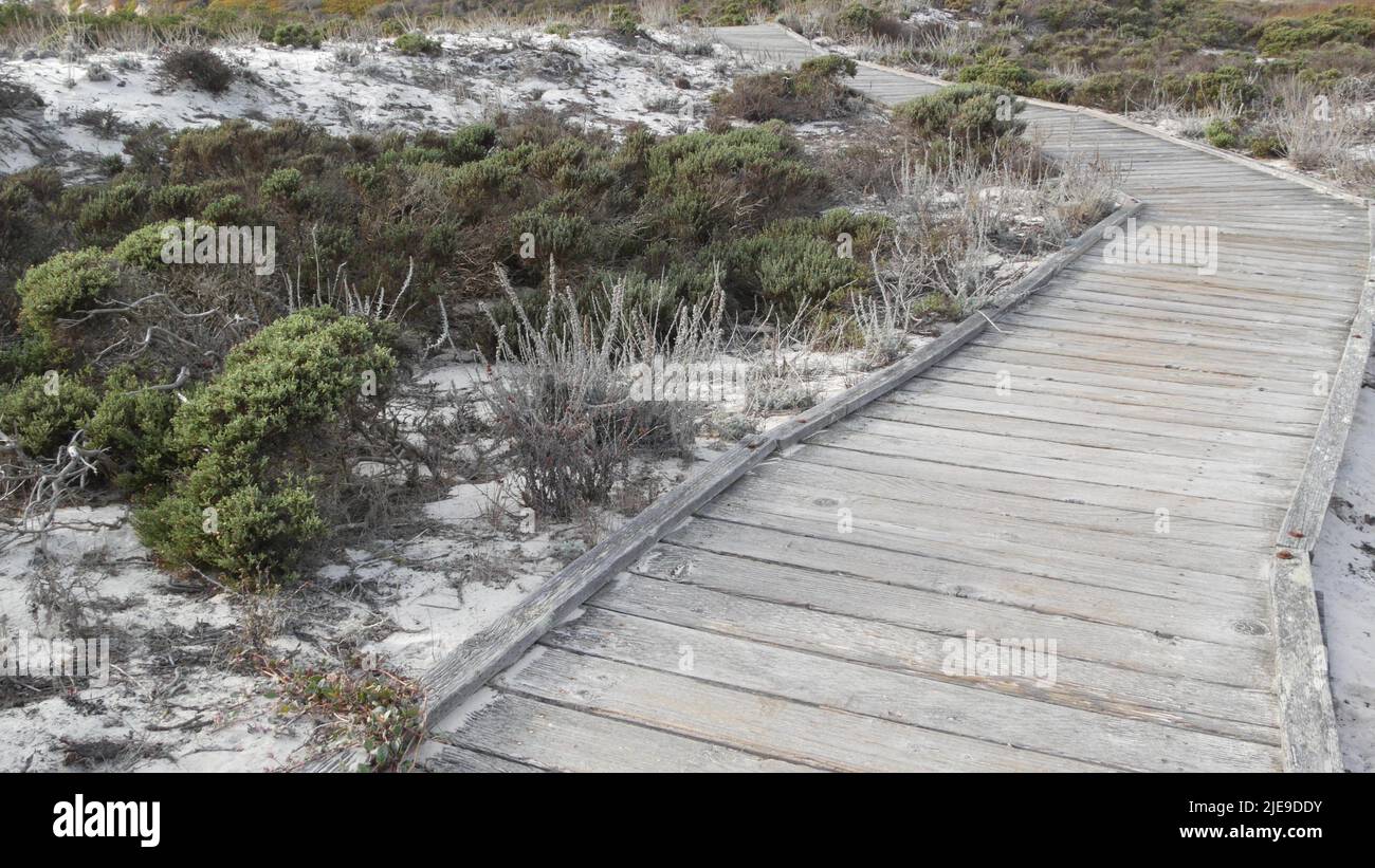 Wooden boardwalk trail, coastal sand dunes in Monterey, 17-mile drive ...